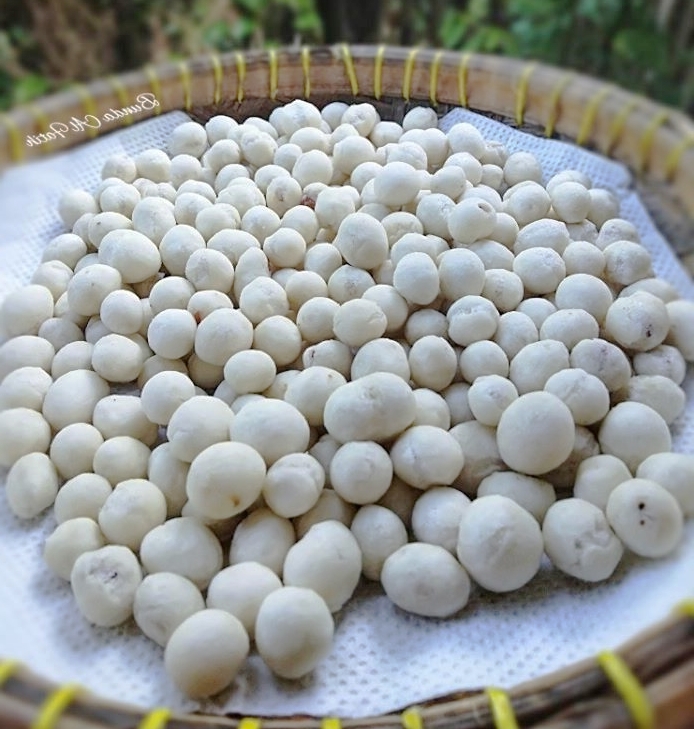 Resep Cara Membuat Kacang Atom atau Kacang Sukro - Dapur Bunda