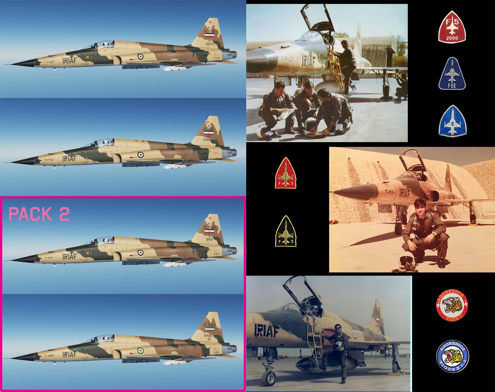 ALLIED FLYING FORCE: Skin: F-5E - IRIAF 1980