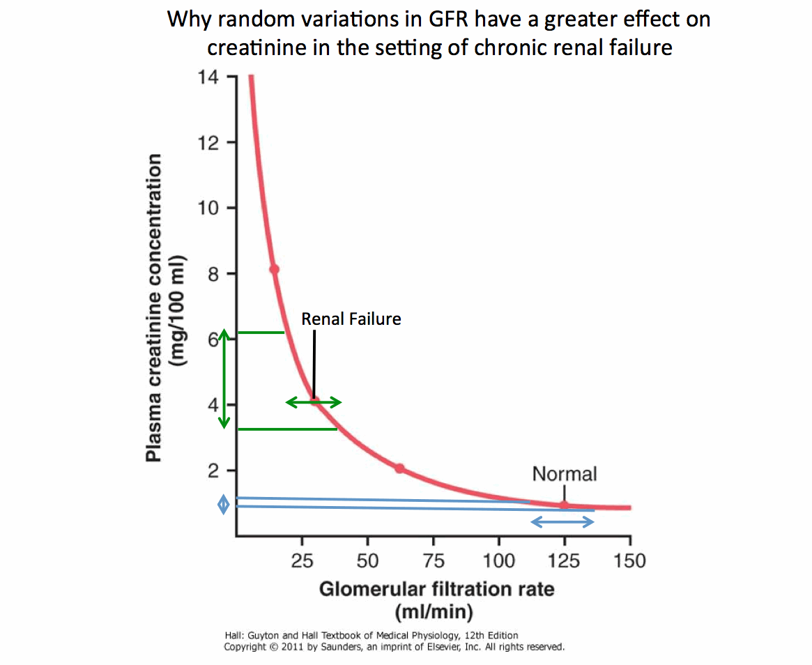 Do CT scans cause contrast nephropathy?
