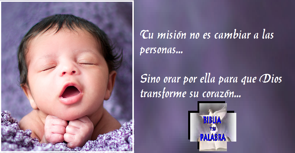Biblia y su Palabra: ORAR