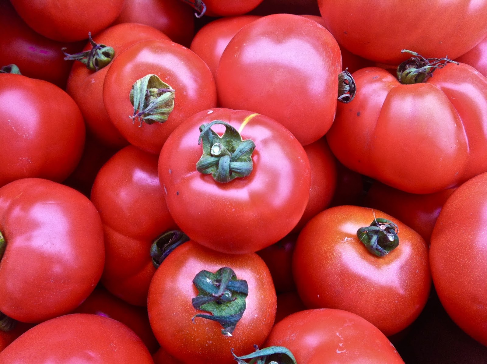 lisa b wellness: Tomato, Tomatl, Solanum Lycopersicum!