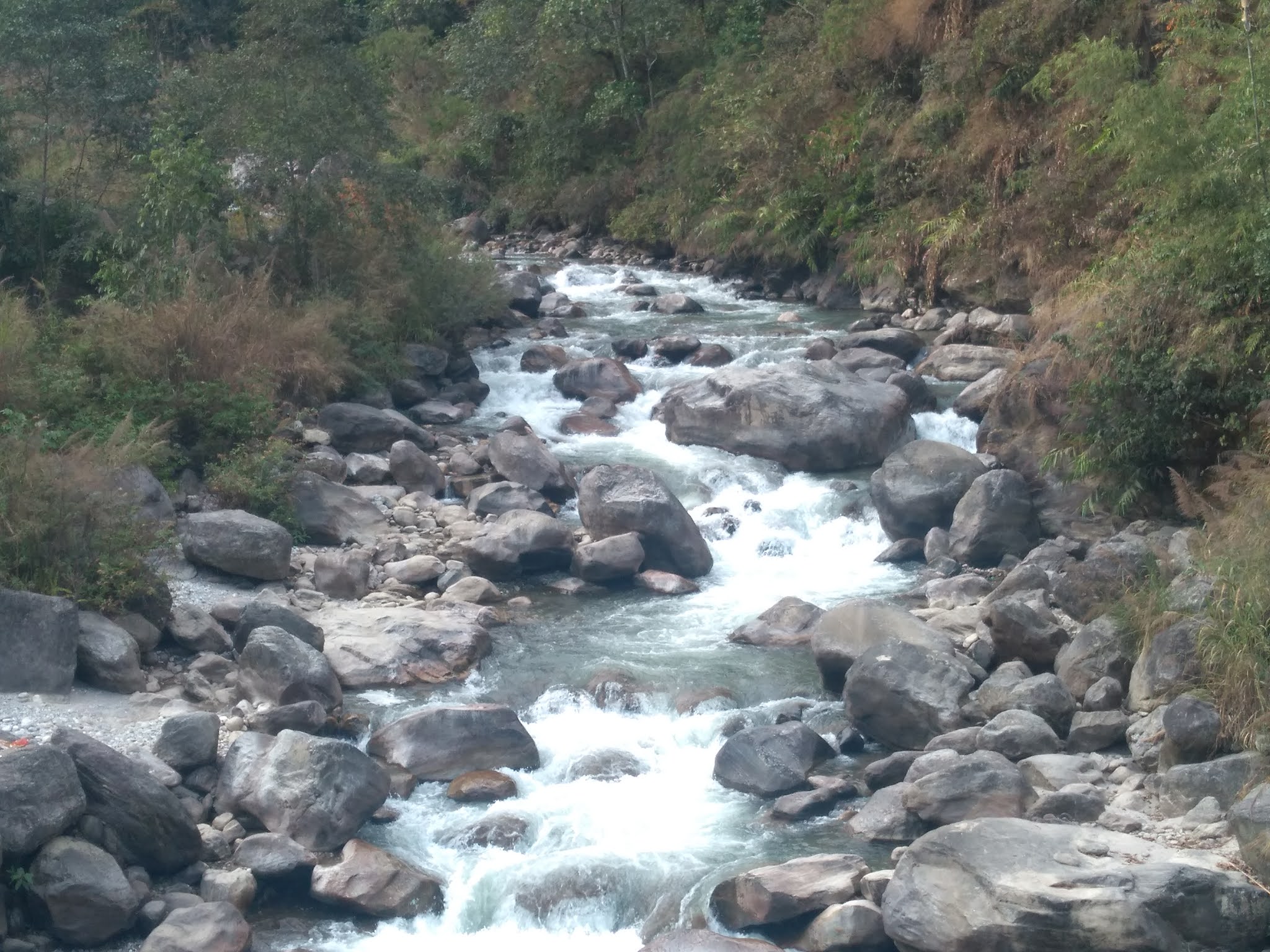 Pelling Travel Guide - a Glimpse at History through Nature