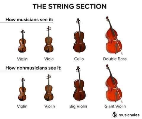 Music With Mr. Barrett: The String Family!