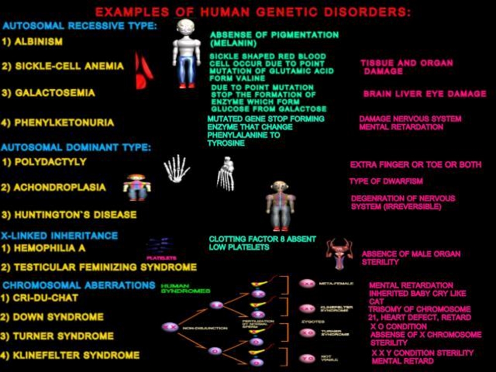 Genetic Disorders In Humans List