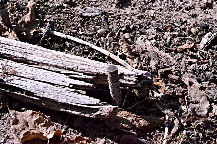 Lazy Gardening: Removing Landscape Spikes the Easy Way
