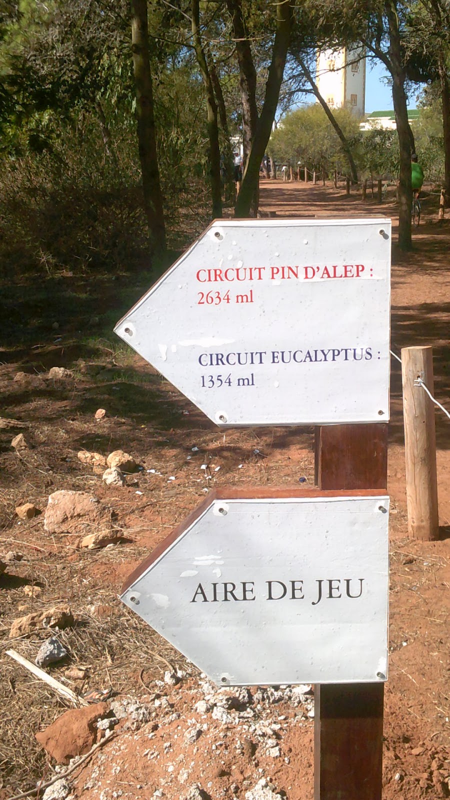 MAROC CORRECT: HARHOURA ET FORET