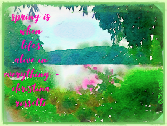 Beyond LiteracyLink: Celebrating Springtime '18