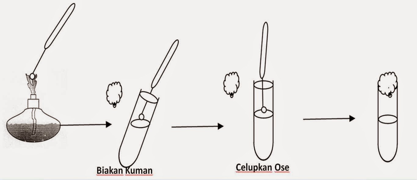 Artanta-Bagus: Uji Media Biokimia