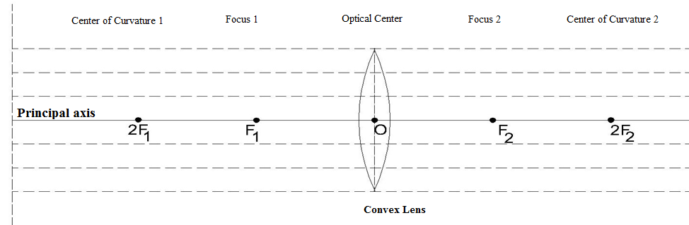 How to draw the Ray Diagram for Images formed by Convex lens ...