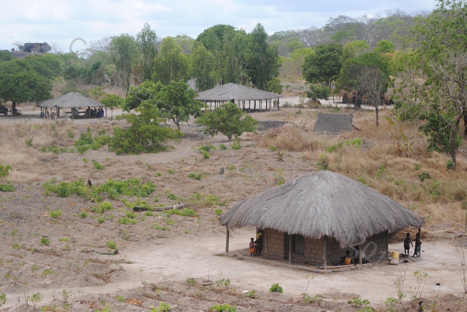 Diário de um sociólogo: Uma viagem ao distrito de Mulevala (Zambézia) (4)