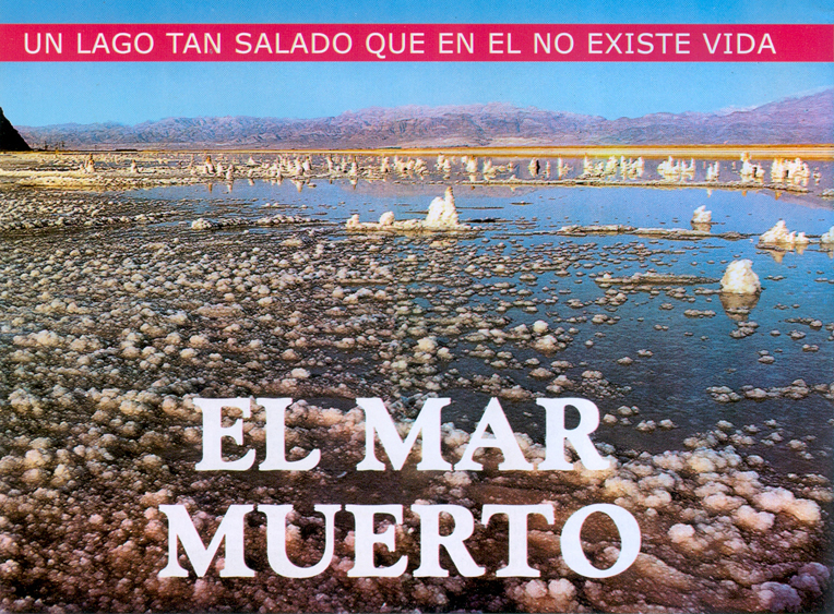 El Mar Muerto: Un lago tan salado que en él no existe vida | Directorio ...