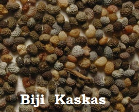 Anim Agro Technology: BIJI KASKAS - APA DIA?