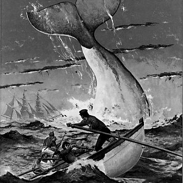 Musings on a Troubled Planet: Moby-Dick; The Whale