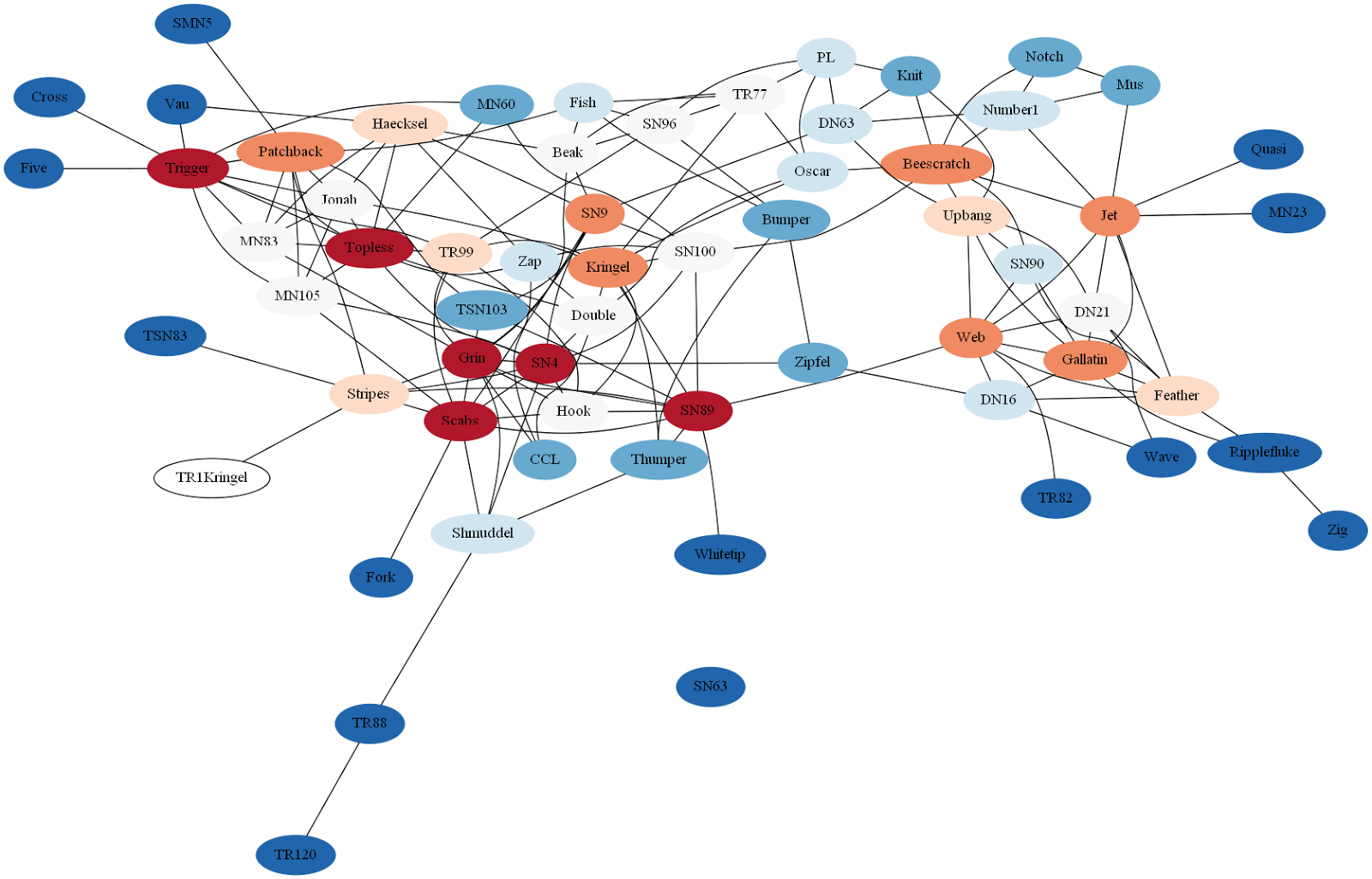 BI Future Blog: Data visualization : Network analysis with Graphviz and ...