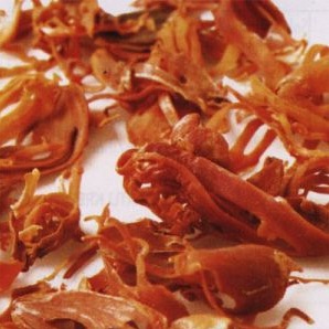 Bunga Pala - Welcome to my kitchen