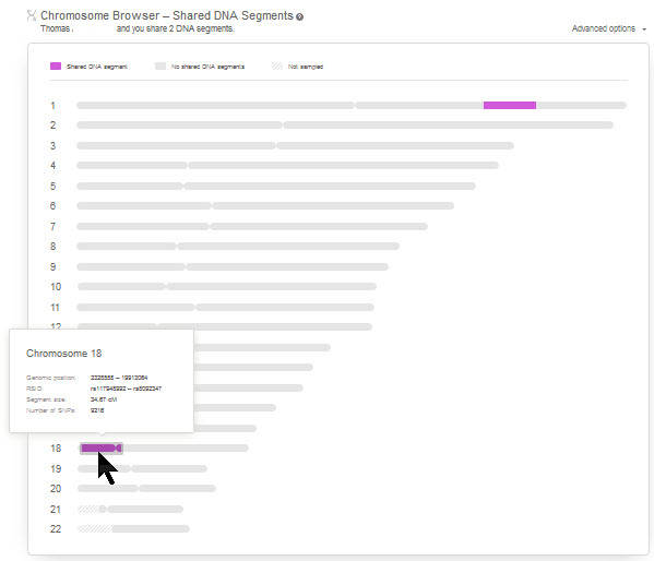 The Ultimate Family Historians: My Heritage now has the essential DNA ...