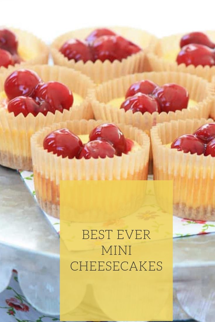Best Ever Mini Cheesecakes - Best Recipest