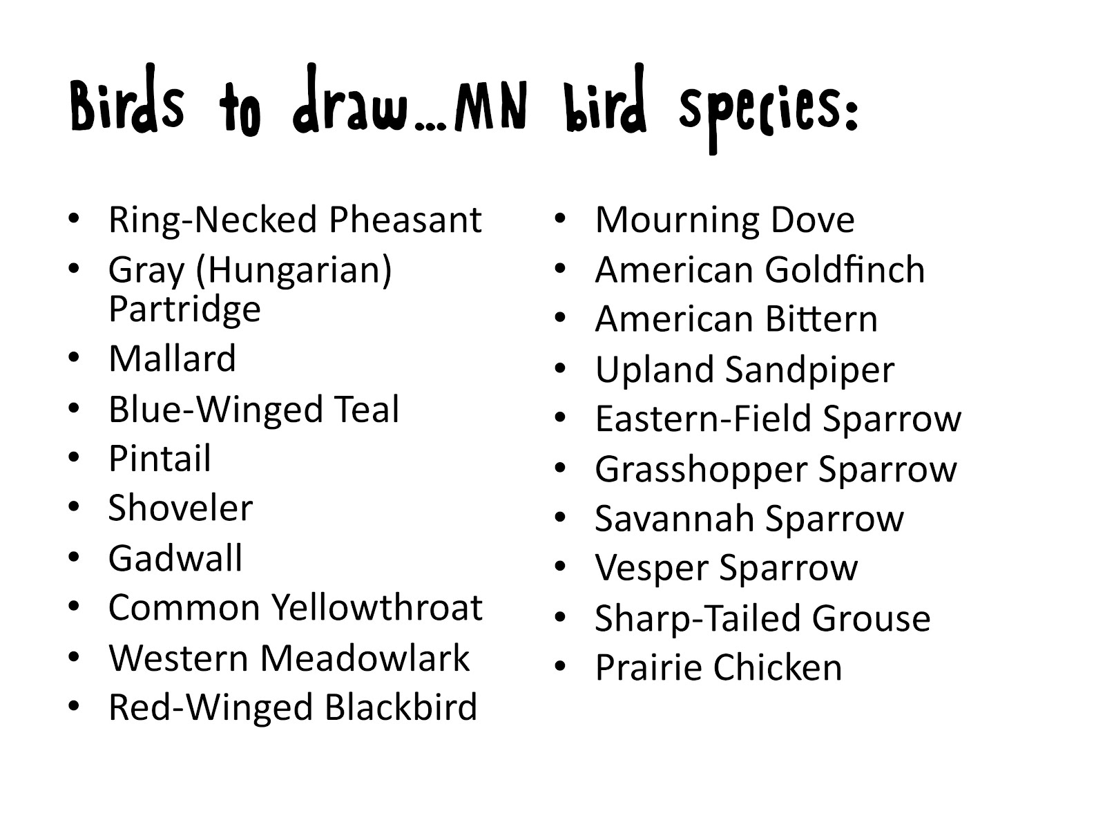 Art at Becker Middle School: 7th graders- bird examples here