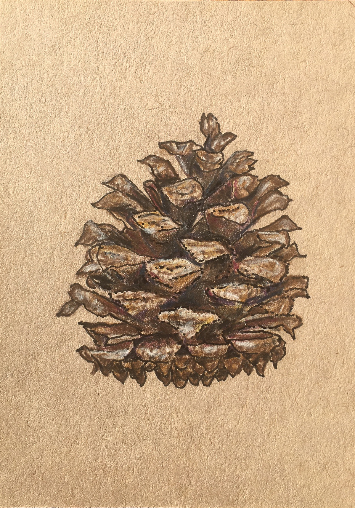 North Carolina Botanical Artists: 2021