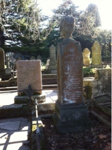 The Cobb Family of Napier: Alice