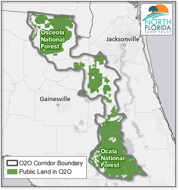 Florida Land Steward News and Information: September 2019