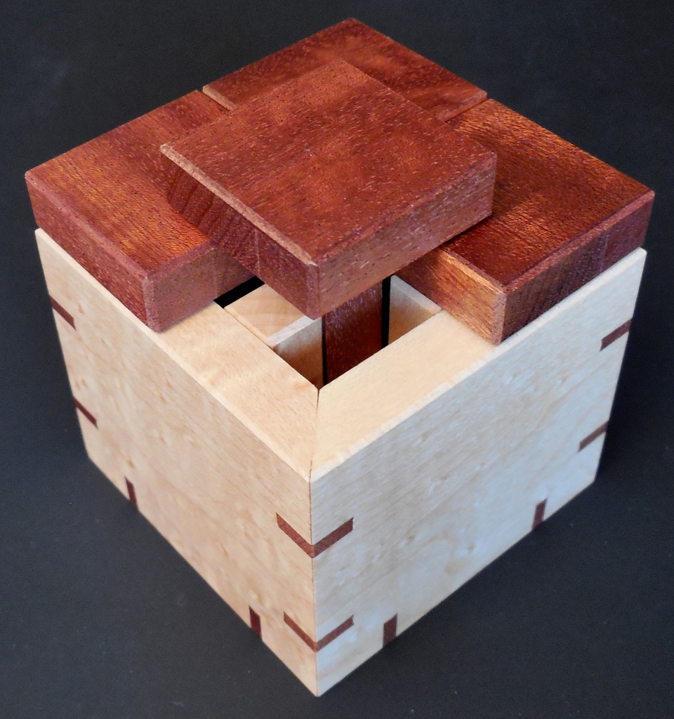 ZenPuzzler: A Pox On You - Pox Box