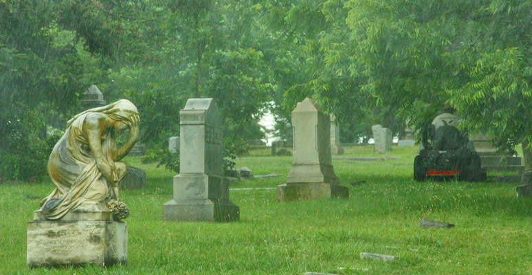 The Cemetery Traveler - by Ed Snyder: The Magnolias of Pinewood Cemetery