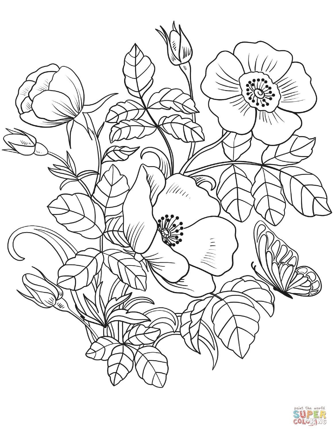 Realistic Flower Coloring Pages - Coloring Pages