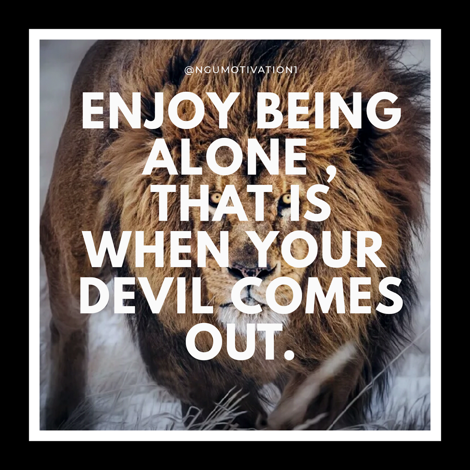 The Lonely Lion the-lonely-lion
