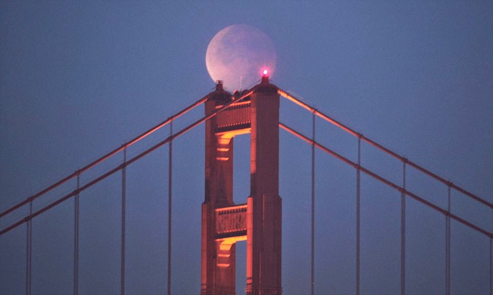 vignette design: Blood Moon Rising