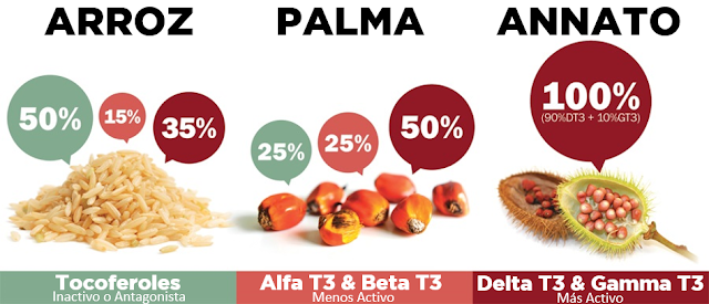 KYÄNI SUNSET | KYANI PERU