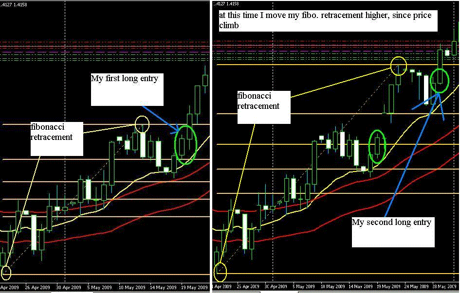 Black King Forex System
