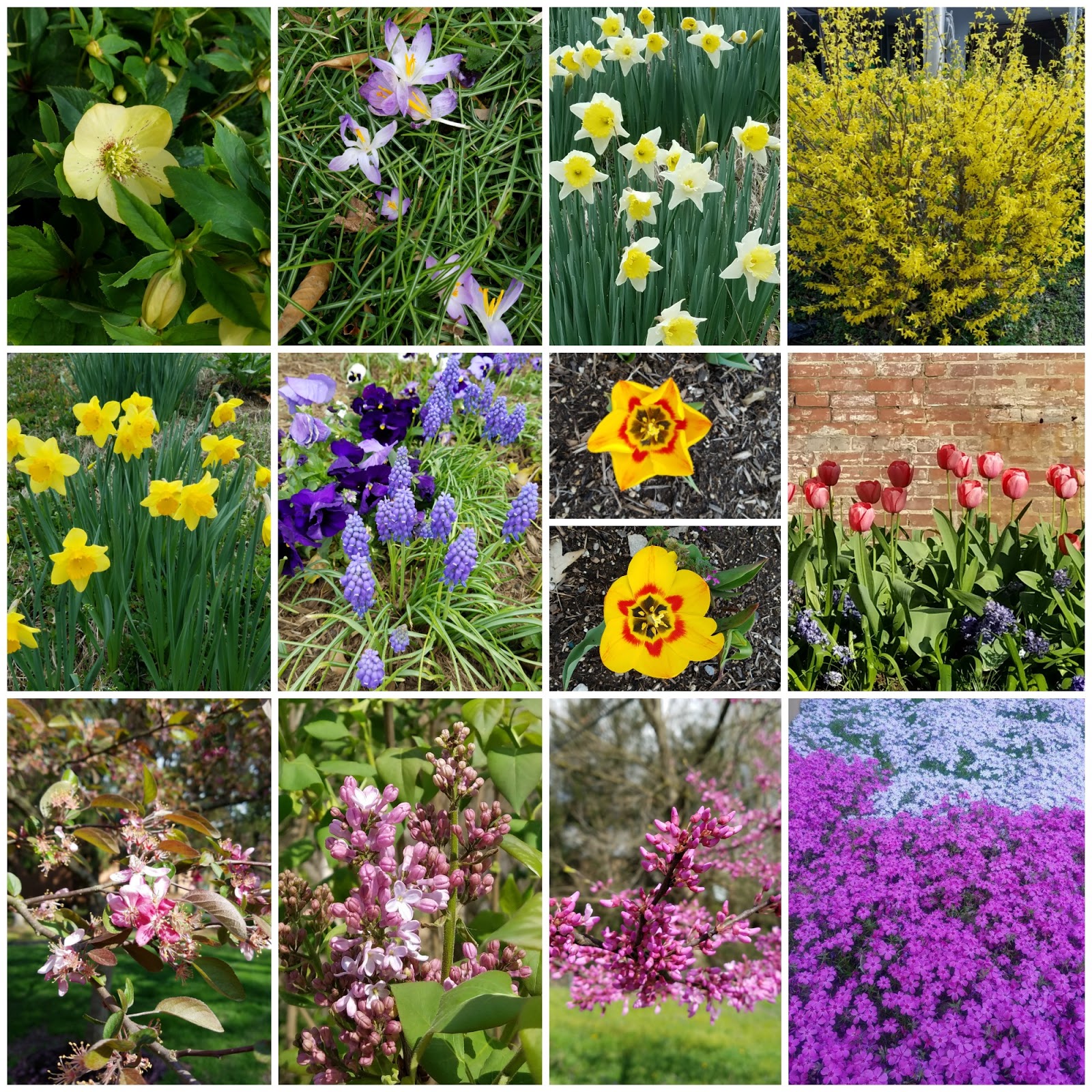 Panoply: Hope Springs Eternal