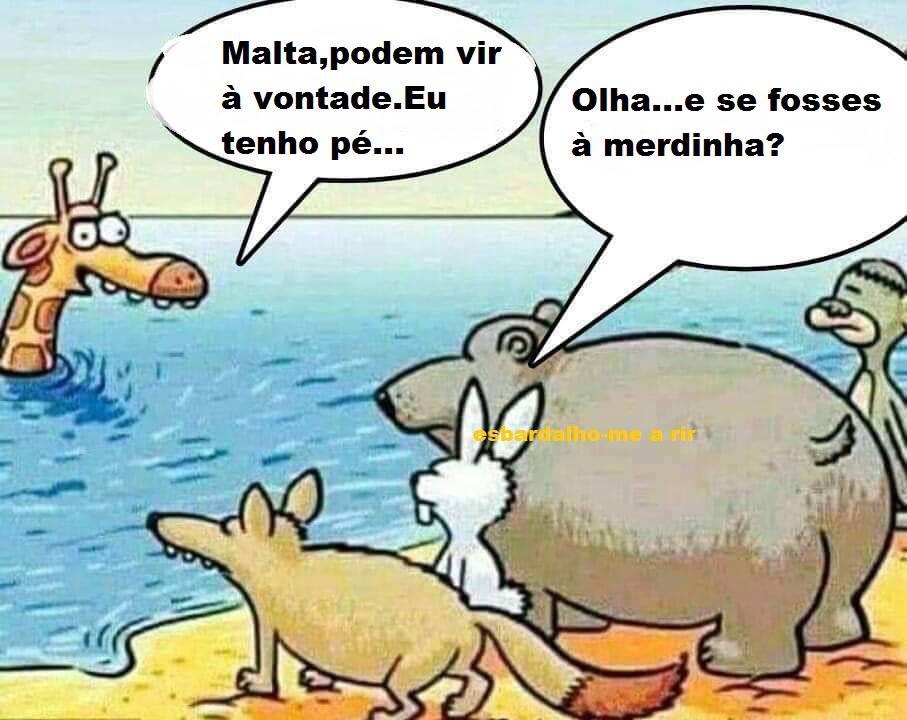 Flores, Cores e Amores: Umas piadinhas para animar o dia