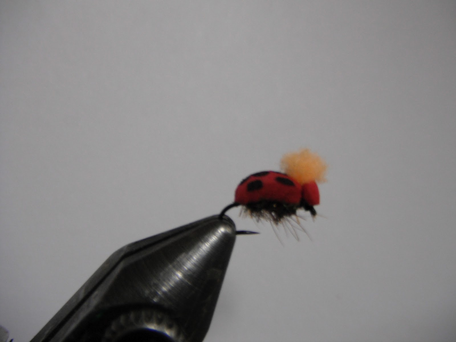 Ladybug Fly