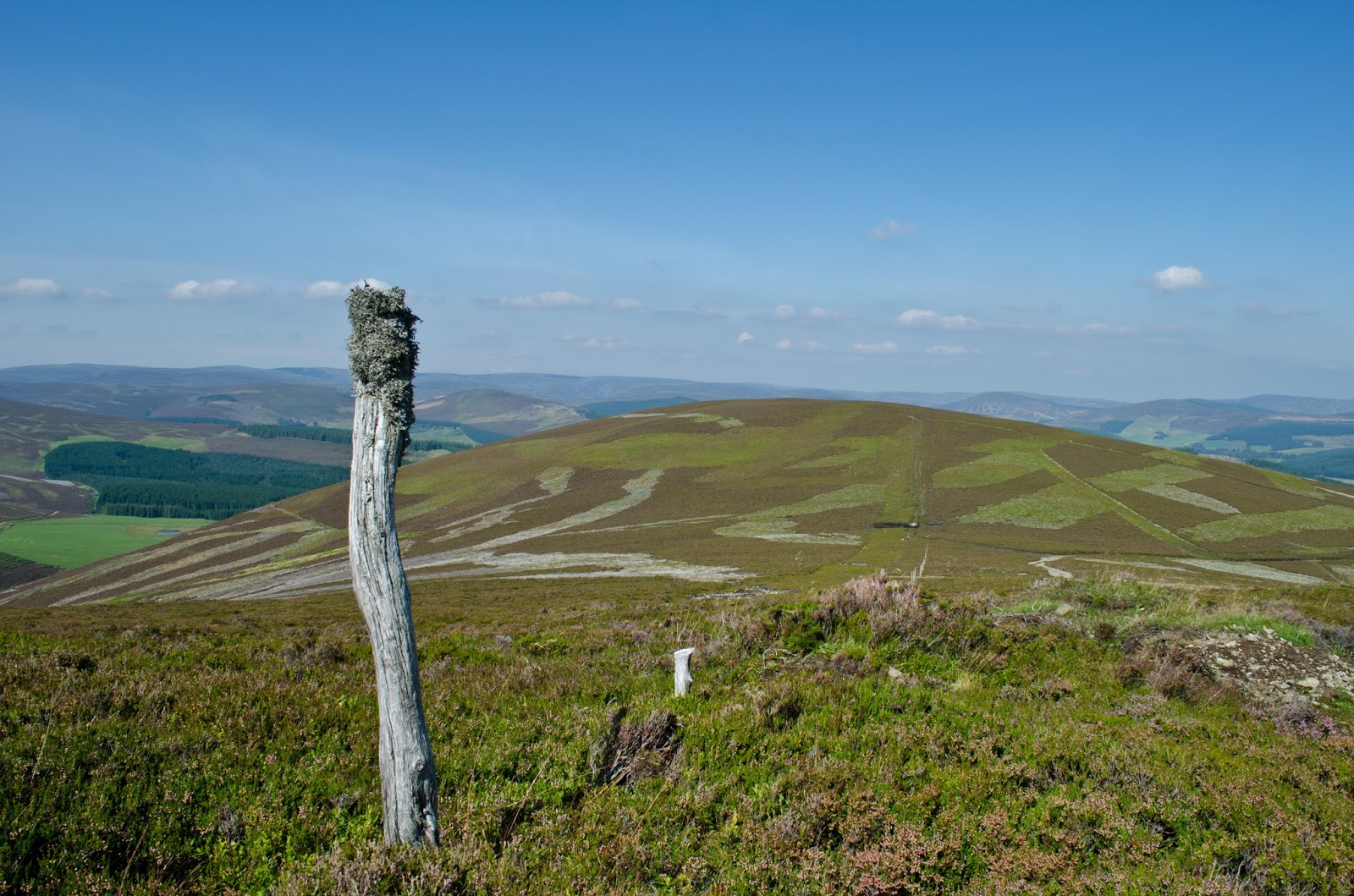 Mountain and Sea Scotland: Mona Gowan - a view fit for a Queen (or a goat)