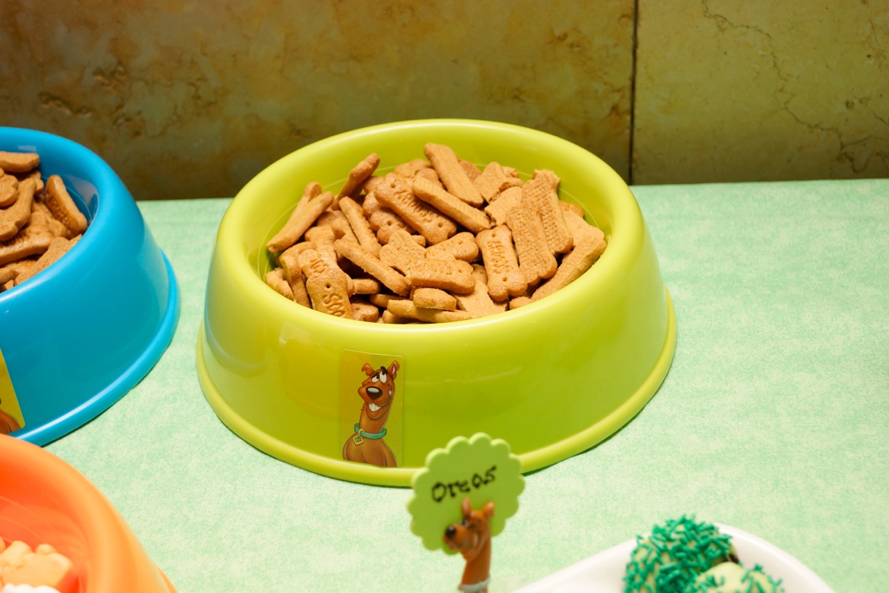 The Carnavals: Scooby Doo Party