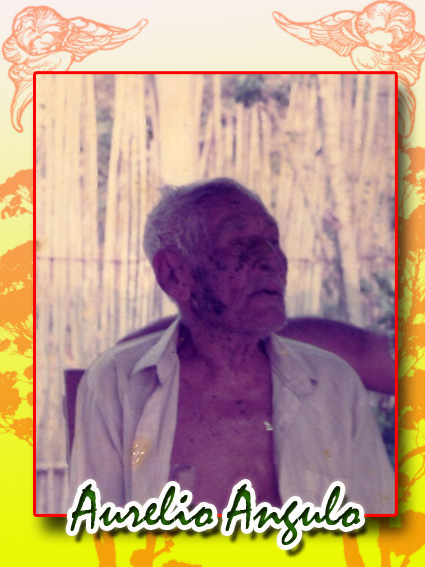 Santo Domingo Vicente Vidal Villadiego: VIDA DE DOMINGO VIDAL