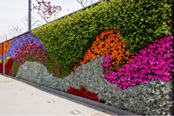 ΤΑΡΑΤΣΟΚΗΠΟΣ...Ο ΚΗΠΟΣ ΤΩΝ ΠΟΛΕΩΝ: Πράσινος τοίχος η κάθετος κήπος ...