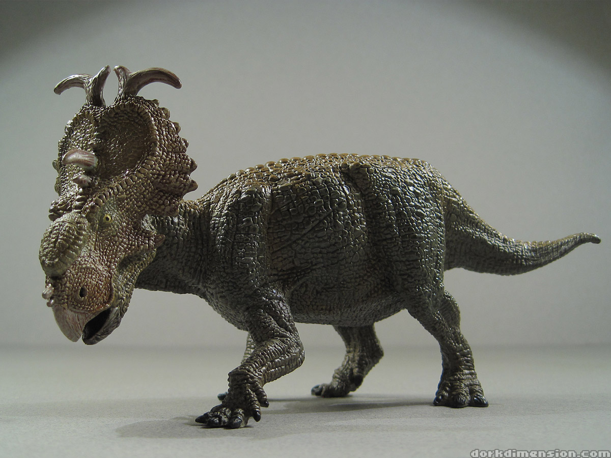 Pachyrhinosaurus - JungleKey.fr Image