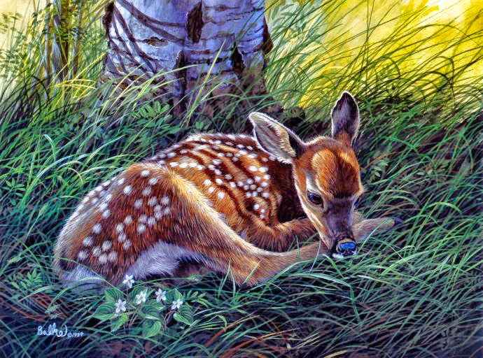 Мир искусства в живописи: Don Balke (1932-)