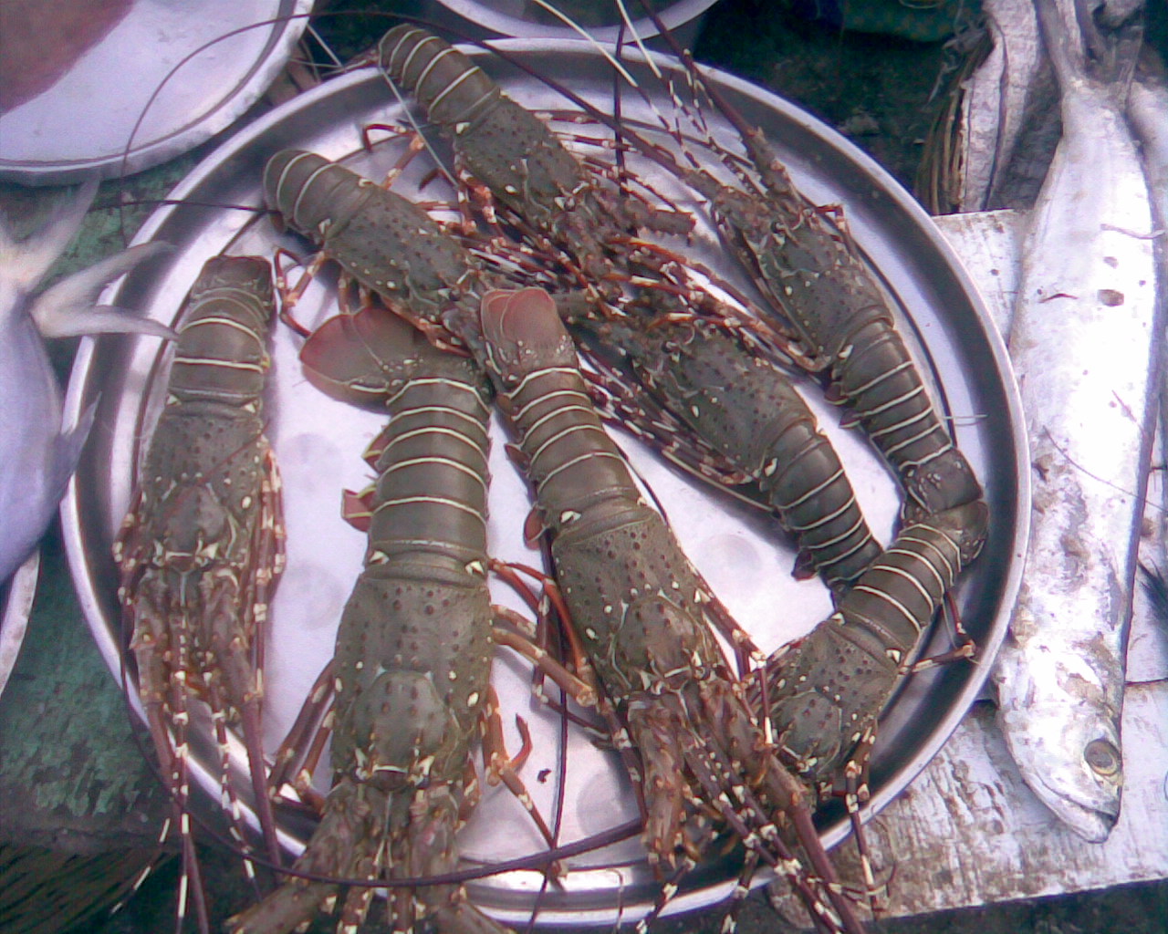 Mejwani: Mejwani Home Made Specialities