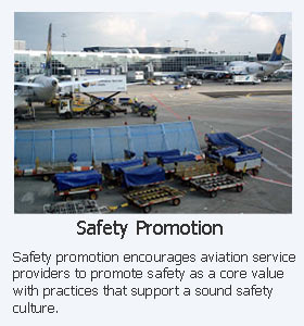 Flight Safety Software |Aviation Safety Management Systems (SMS)