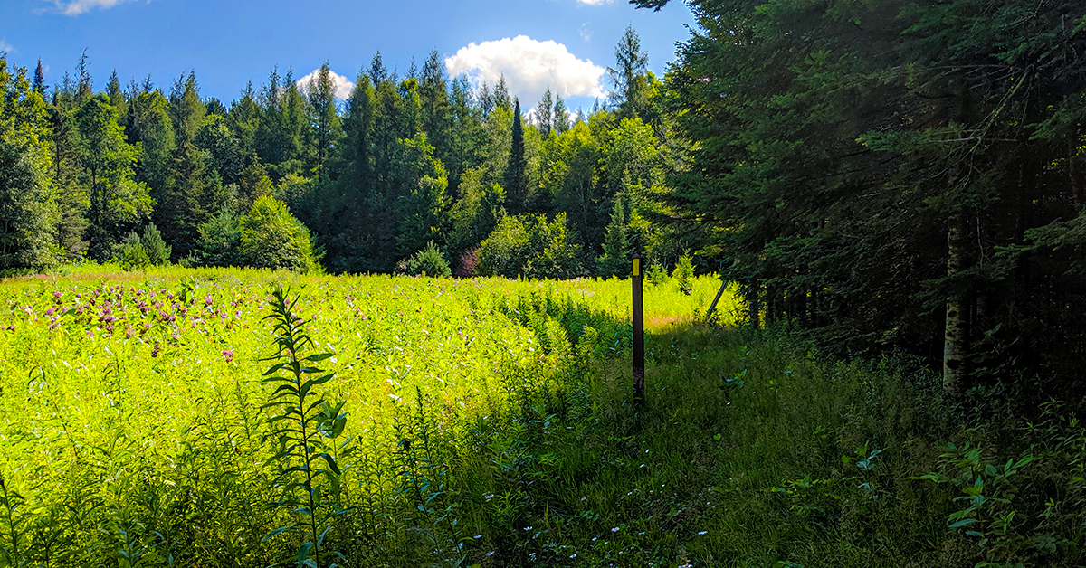 Hiking the Ice Age Trail Rib Lake Segment