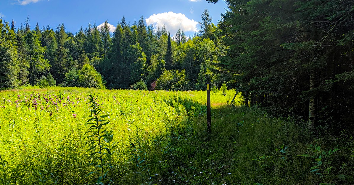 Wisconsin Explorer: Hiking the Ice Age Trail Rib Lake Segment