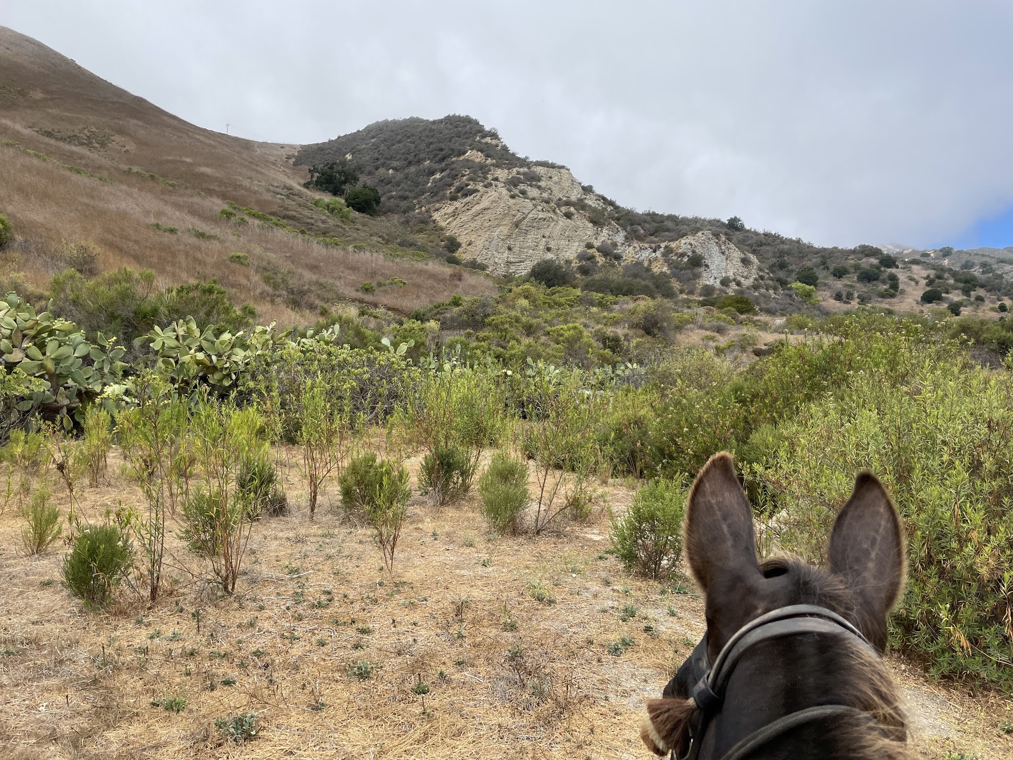 Baron Ranch on the Gaviota Coast - edhat