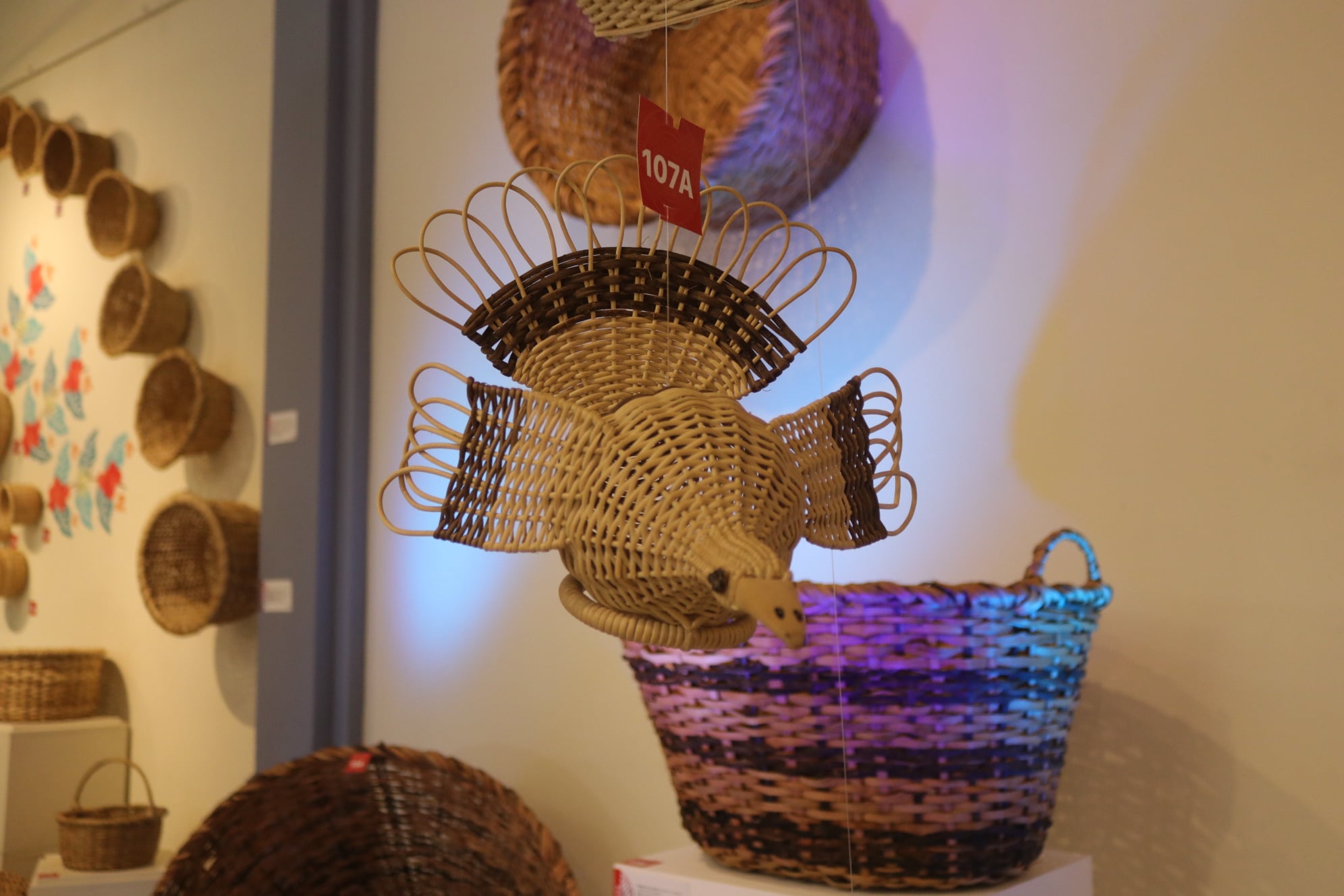 Amplia y variada muestra de cestería está en exhibición en el Centro de ...