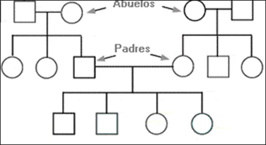 I.E SANTA ELENA - BIOLOGÍA 9°: 2. Alelismo múltiple, tipos de sangre ...