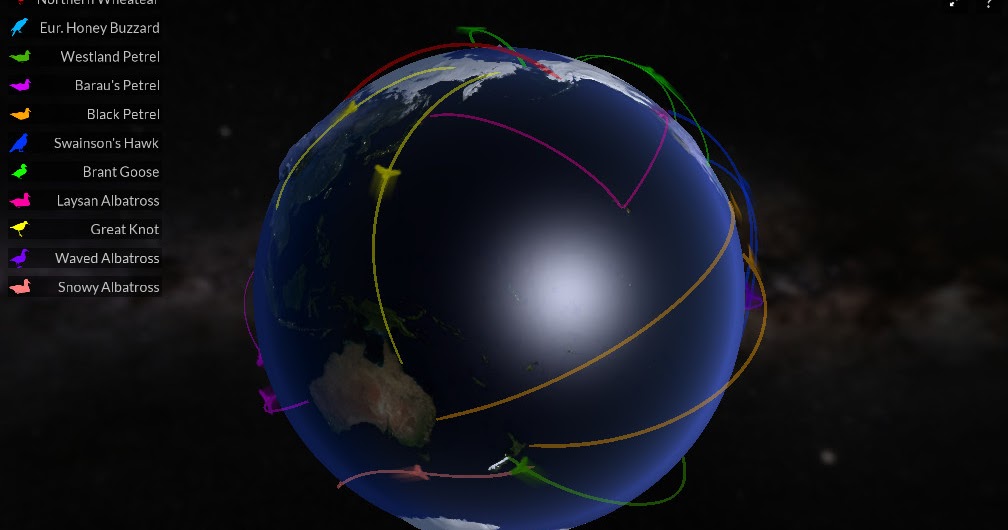 The Globe of bird Migration: An interactive visualization about ...