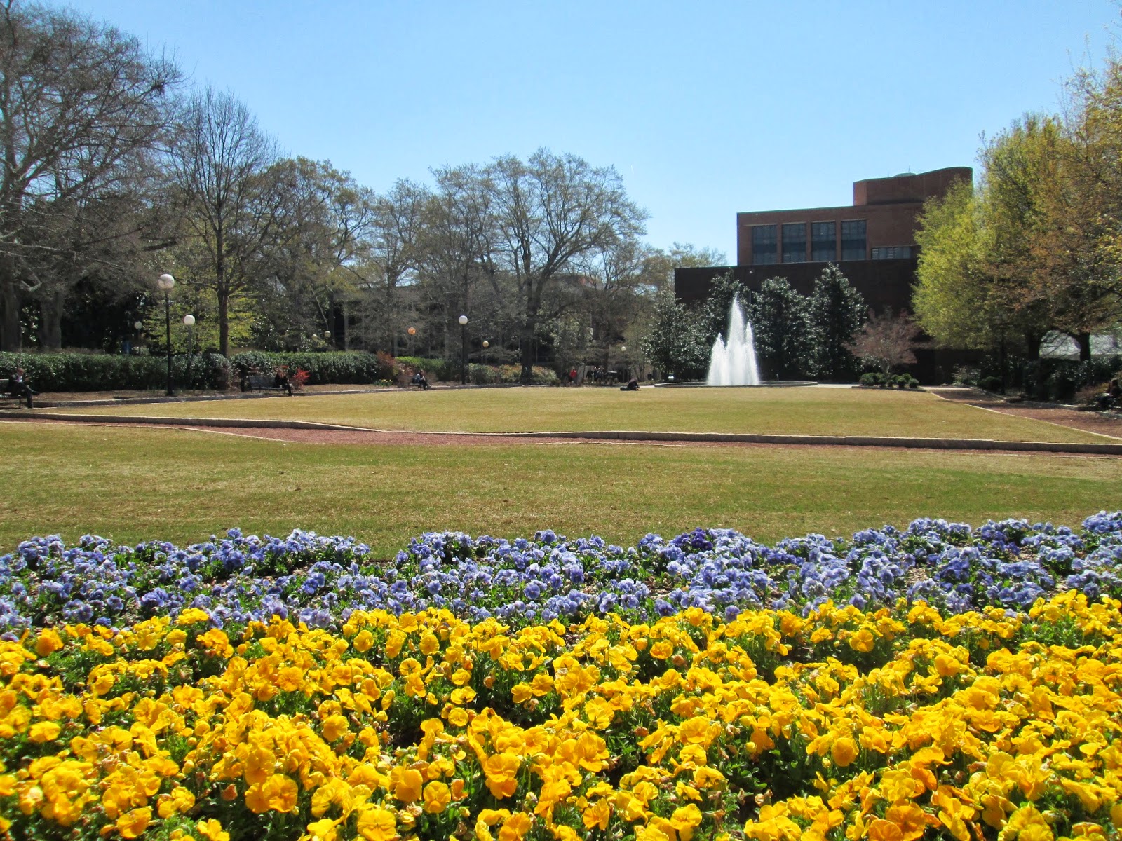 Athens, GA In Pictures: 2014